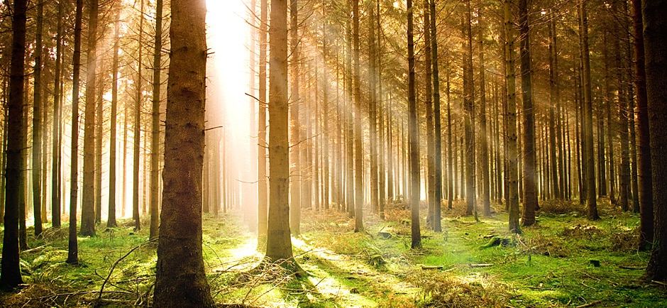 tf_1 | ConversionMinded